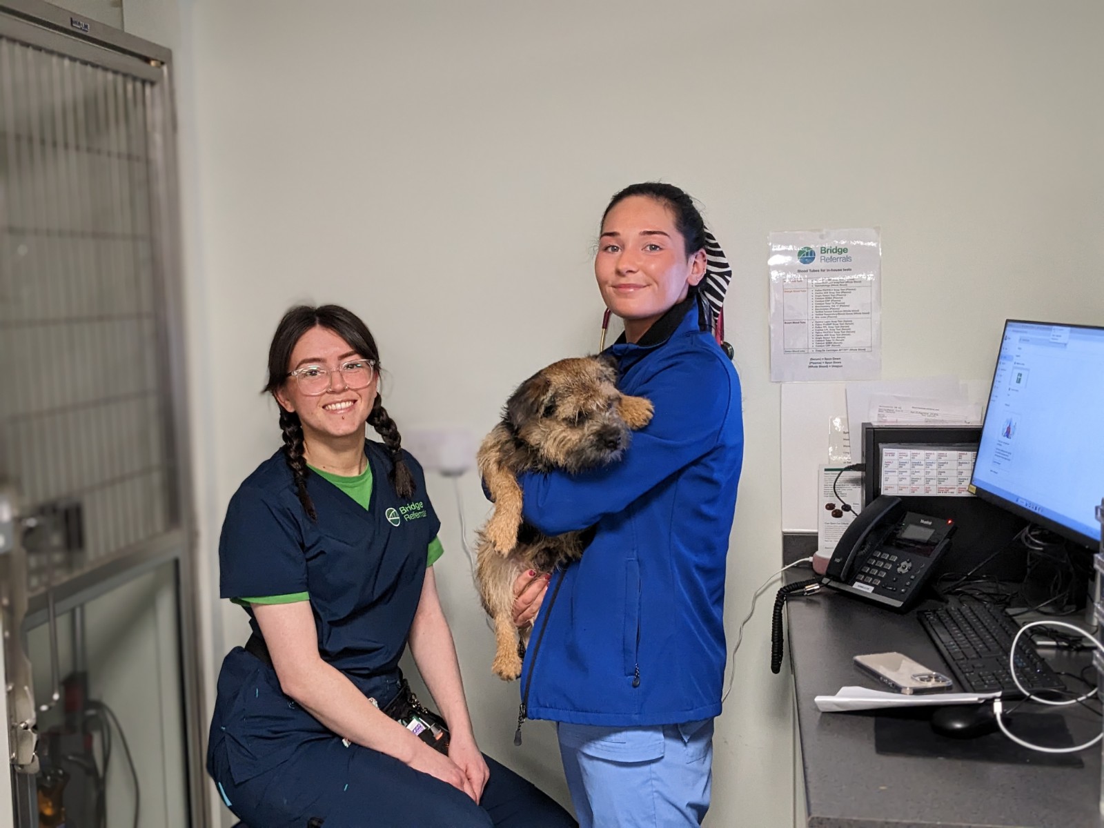 Celebrating the contributions of women in veterinary practices - Bridge ...