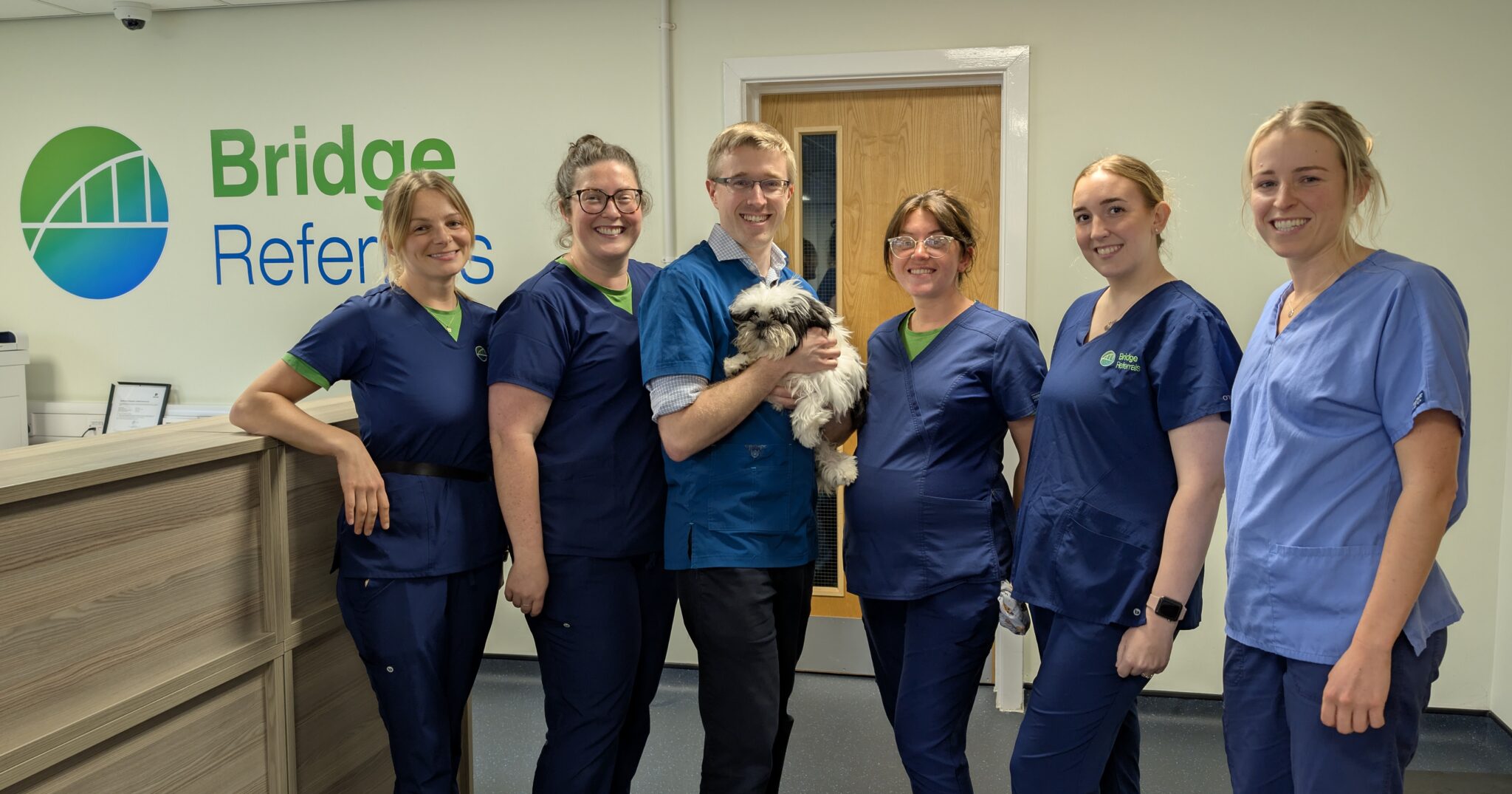 Laparoscopic portosystemic shunt success for Cooper! - Bridge Referrals
